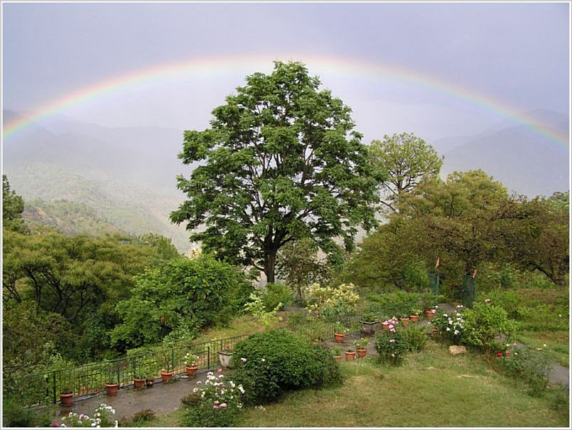 Kunsi Ashram Photo Album | Purusha at Maharishi Ashram - Kunsi ...