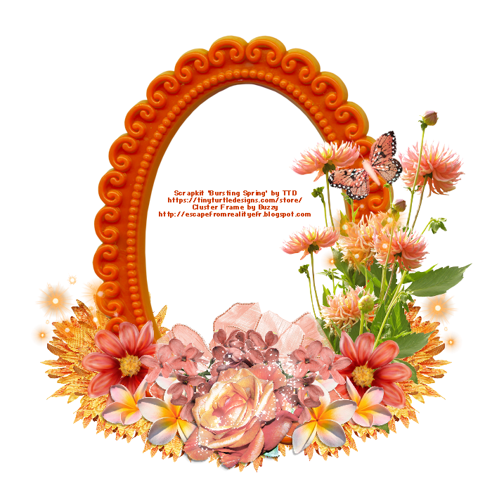 Escape From Reality Blog: FTU 'Bursting Spring' Cluster Frames TTD