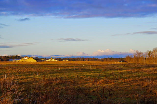 Laiwy pildid: Pikad varjud