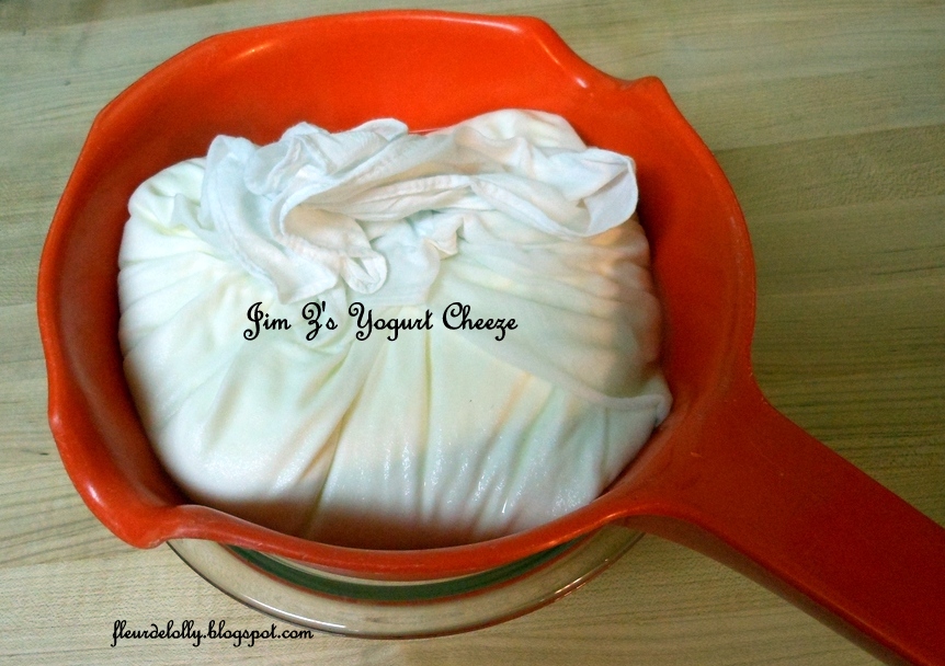 Fleur De Lolly Making Yogurt Cheeze By Guest Blogger Jim Z