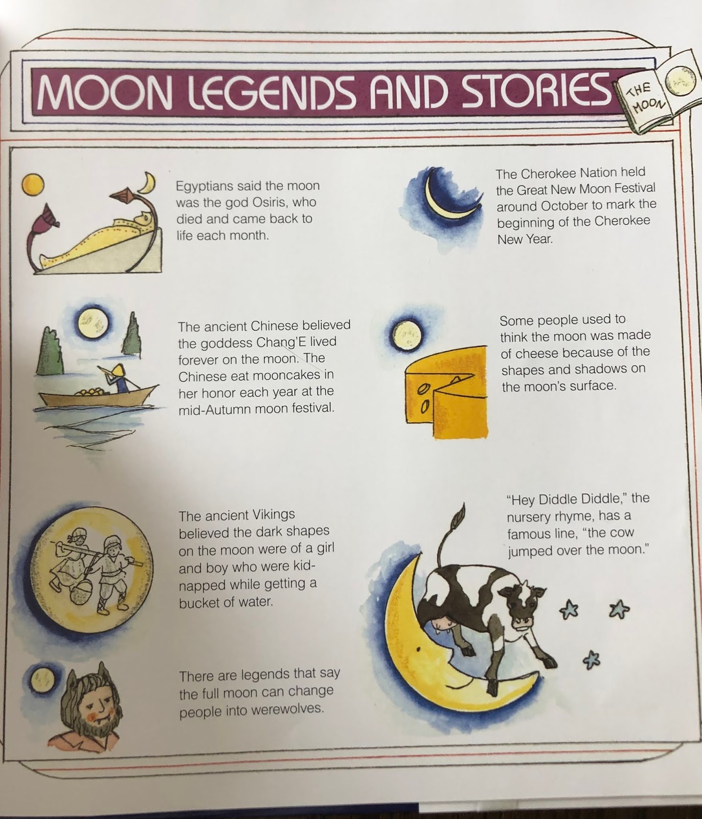 Ms. Brown's Books: The Moon Book