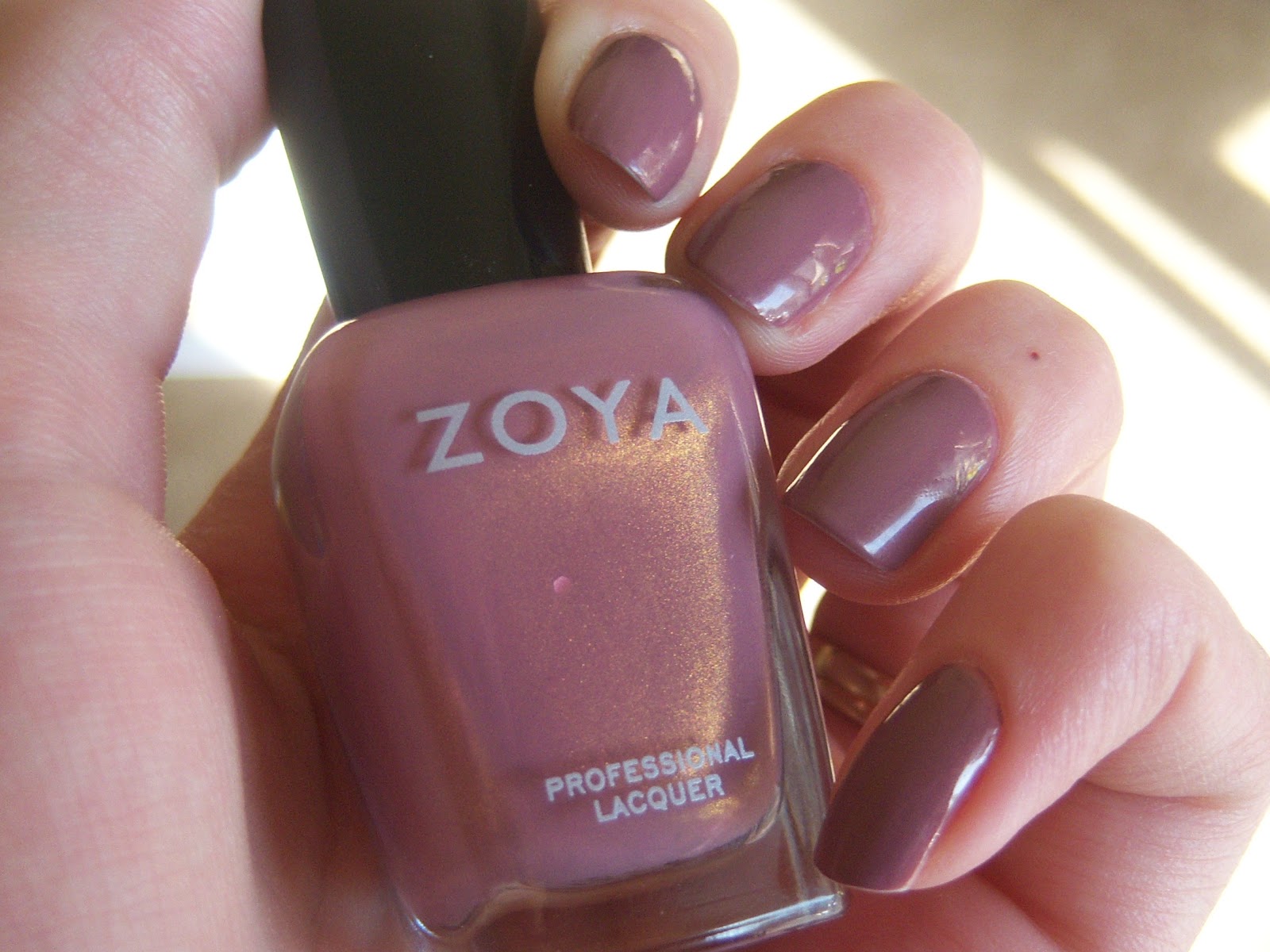 Shadow and Shimmer: Zoya Charity