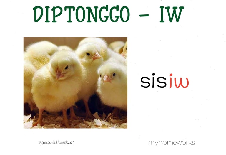My Homeworks: DIPTONGGO (iw)