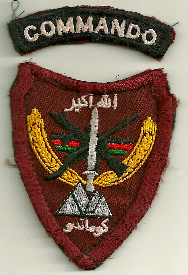 File:ANA Commando Brigade SSI.svg - Wikimedia Commons