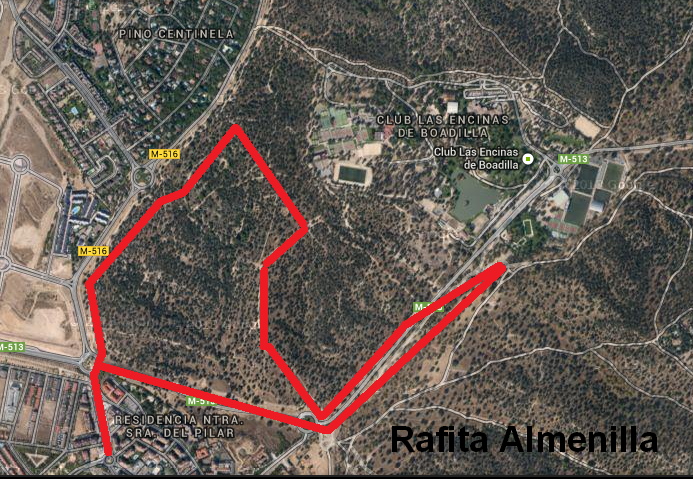 Descubriendo las aves de Madrid-Sur: RUTA POR EL MONTE DE BOADILLA Y ...