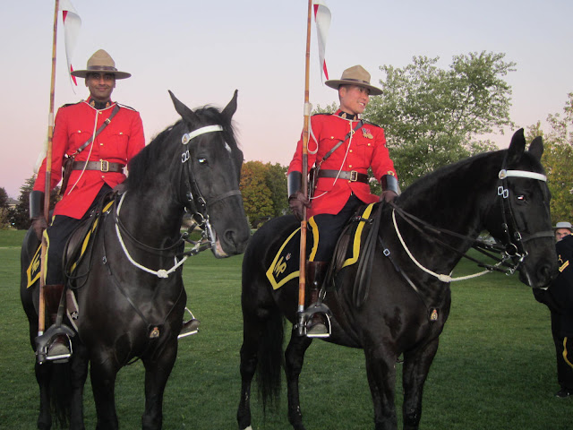 Rook's Nest: RCMP and YRMU Horses