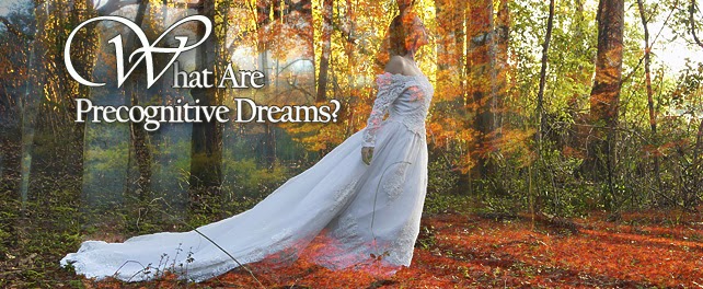 It's all in the mind: Blog Post No.2 Precognitive Experiences