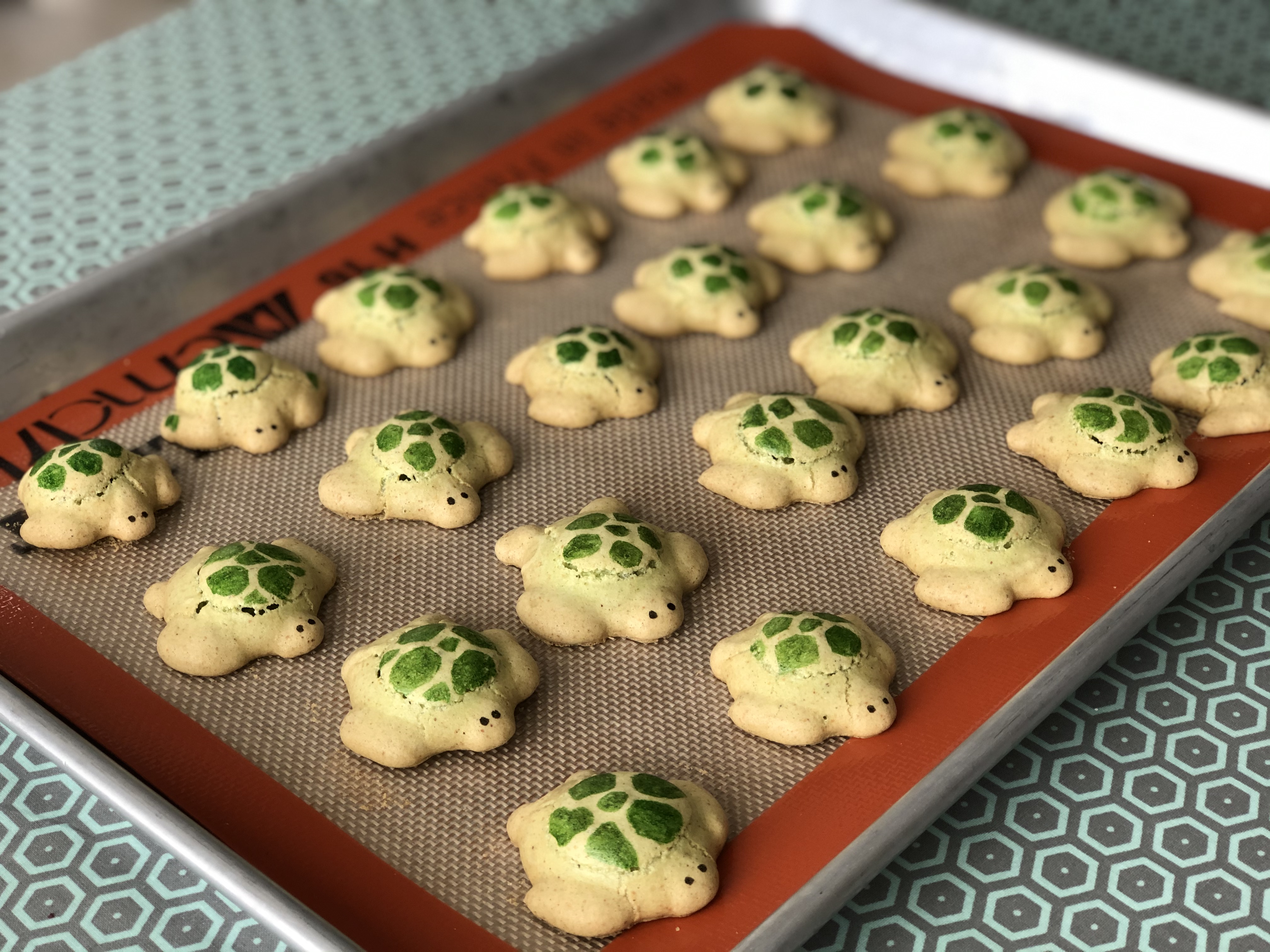 Turtle-Shaped Pistachio Cardamon Macarons