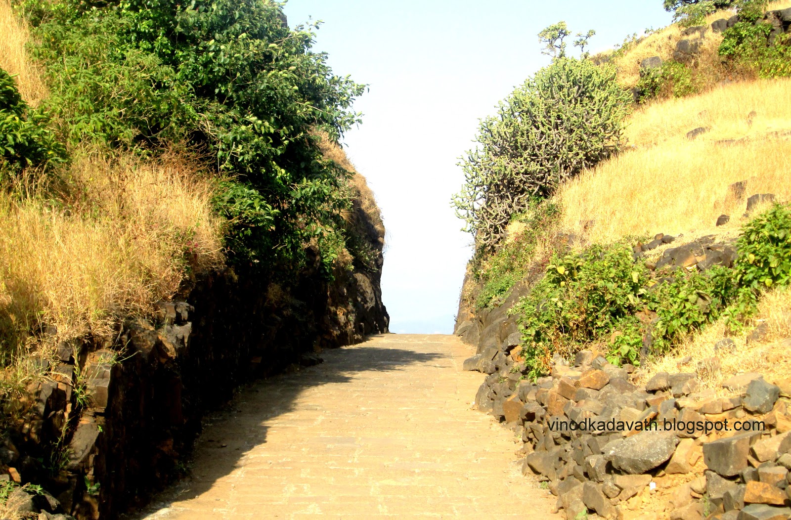 Night Trek to Naneghat ~ Vinod K's Travel Blog