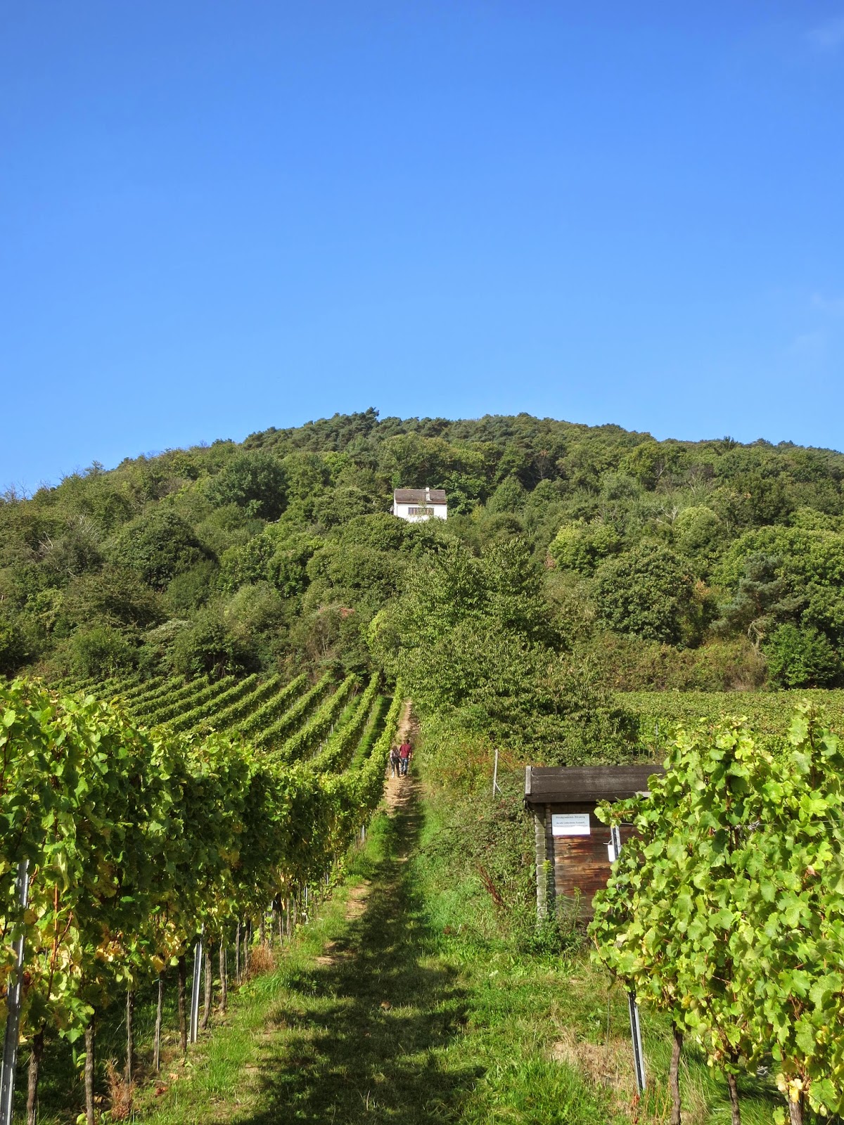 Herxemer Blog: Wanderung zum Zeter Berghaus, Neustadt Diedesfeld