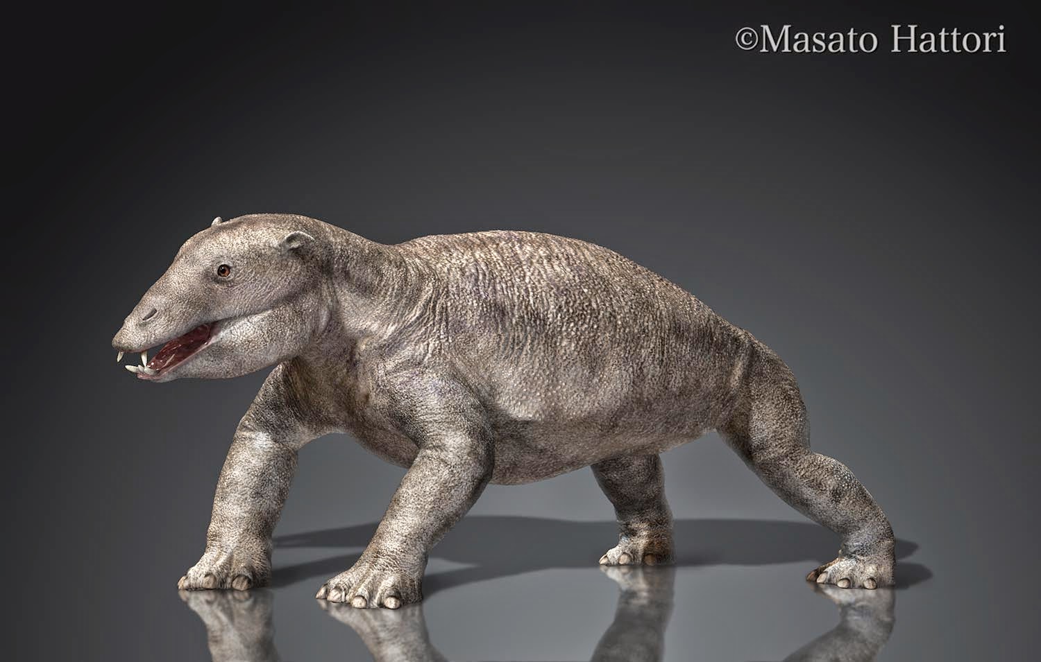 Marchan Blog: デスモスチルス Desmostylus