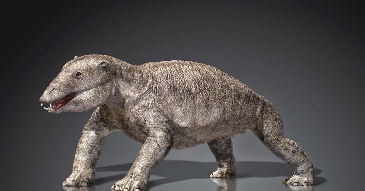 Marchan Blog: デスモスチルス Desmostylus