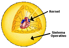 Sistemas Operativos: 1.6 NÚCLEO INFORMÁTICO (KERNEL)