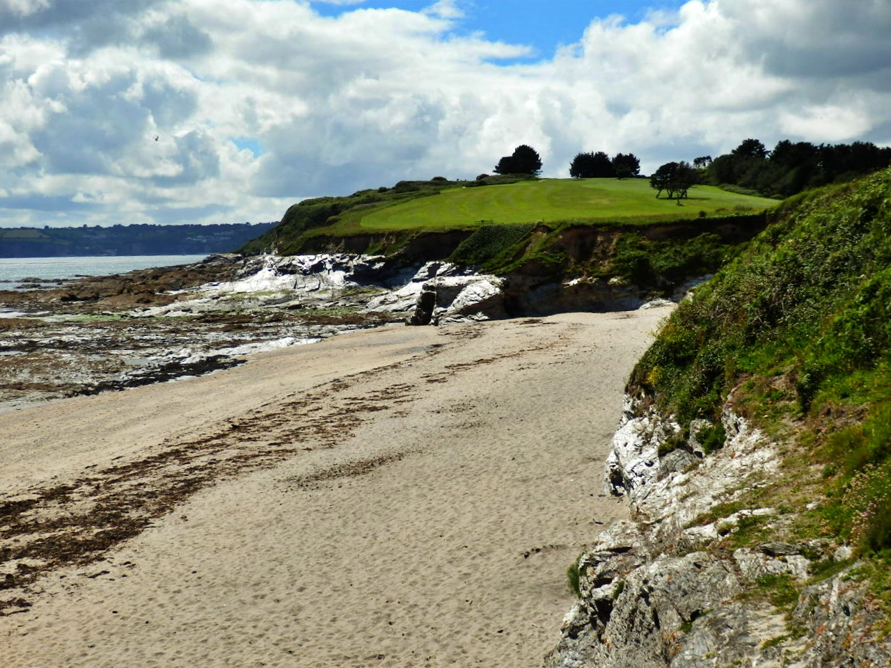 Mike's Cornwall: June 2019