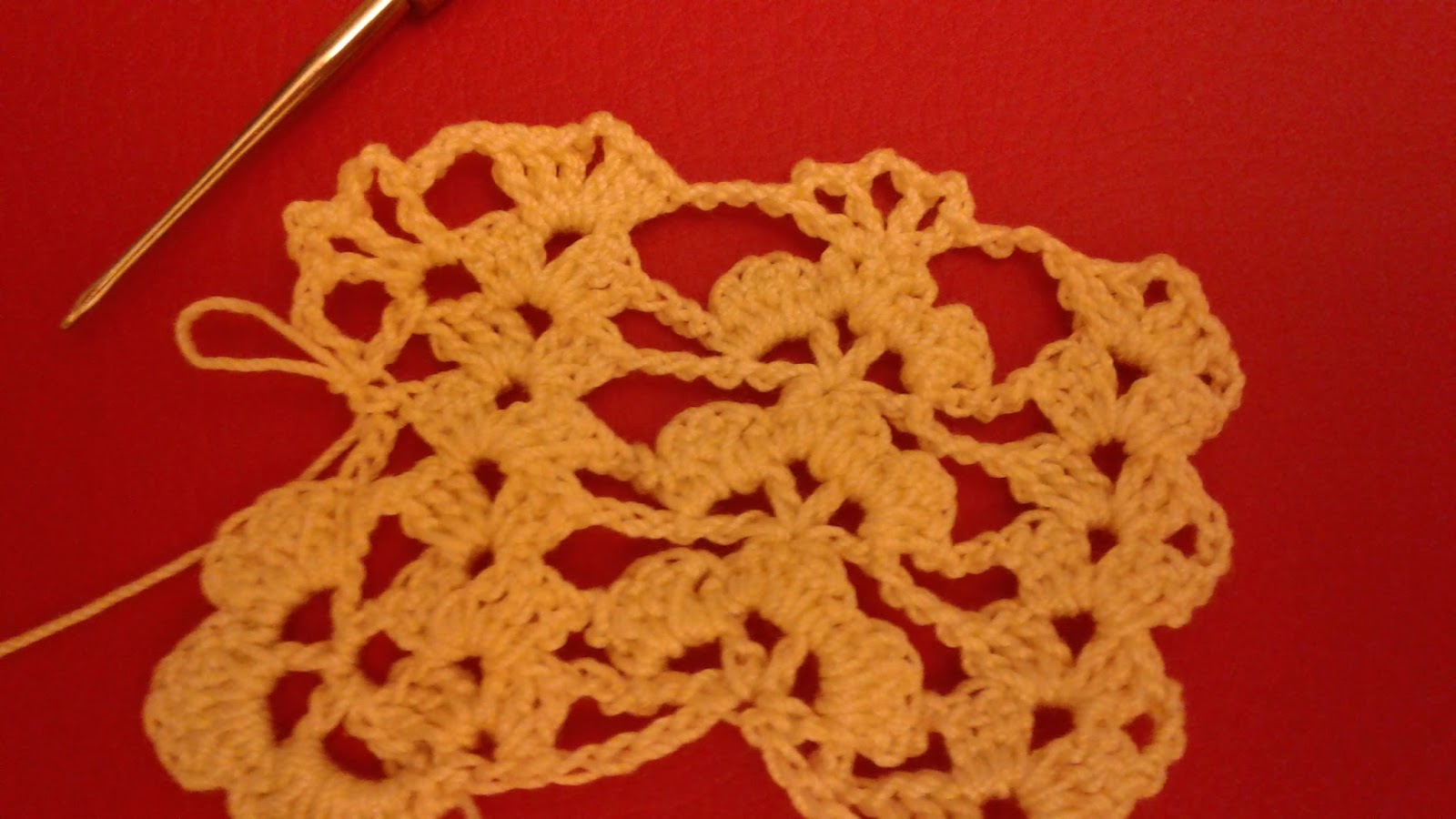 Pasiuni creative: Bordură croșetată pentru ie