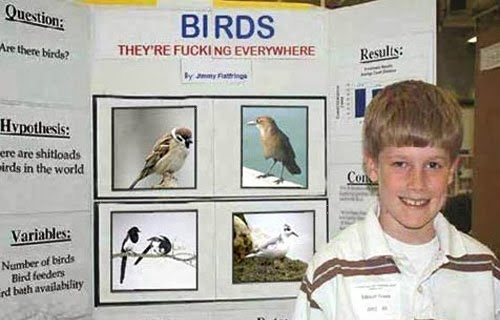 Epic Fails and Other Funny Stuff: Funny Science Projects