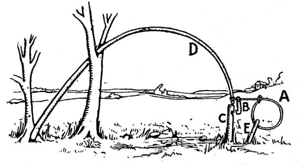 S.A. Hunter's Journal: 11/1/11