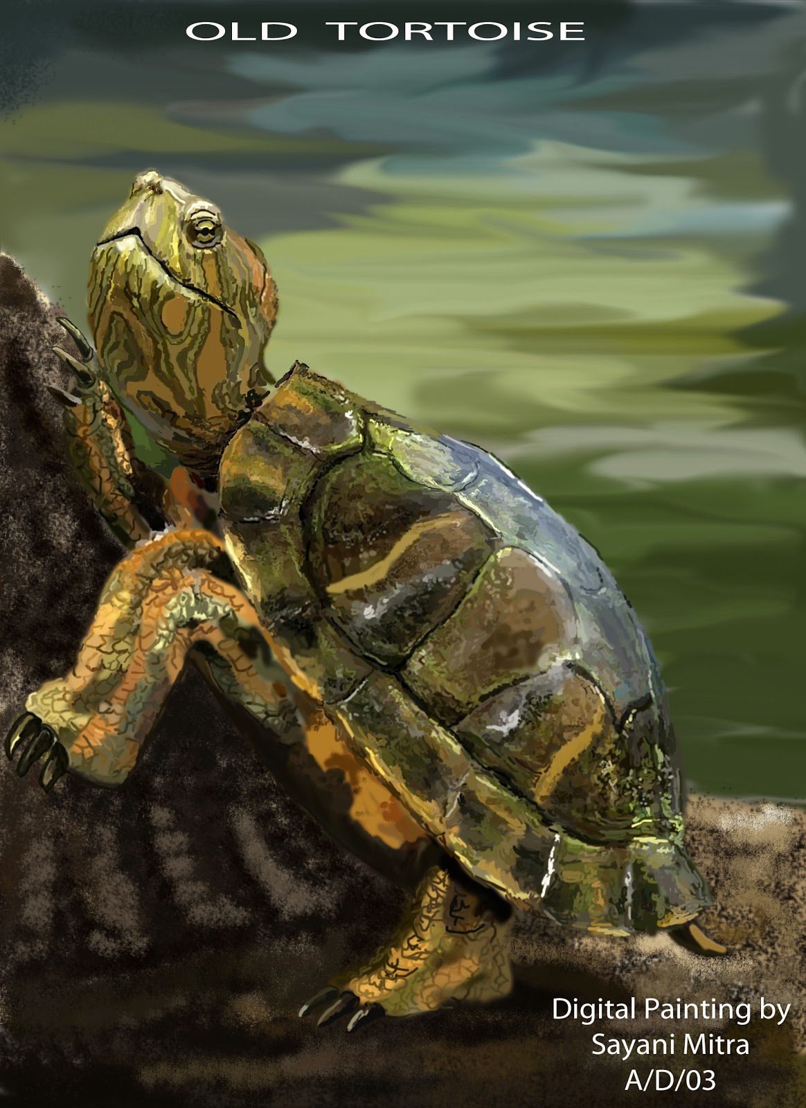 Tortoise Digital Painting ~ MAAC Guwahati_Chandmari