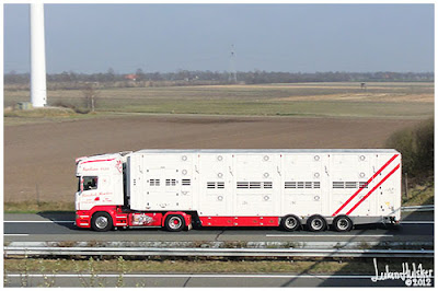 SCANIA: Scania R620 V8 Veetransport