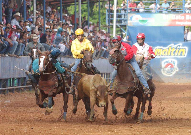 Parranda & Coleaderas: El Coleo queda excluido de los Juegos Nacionales ...