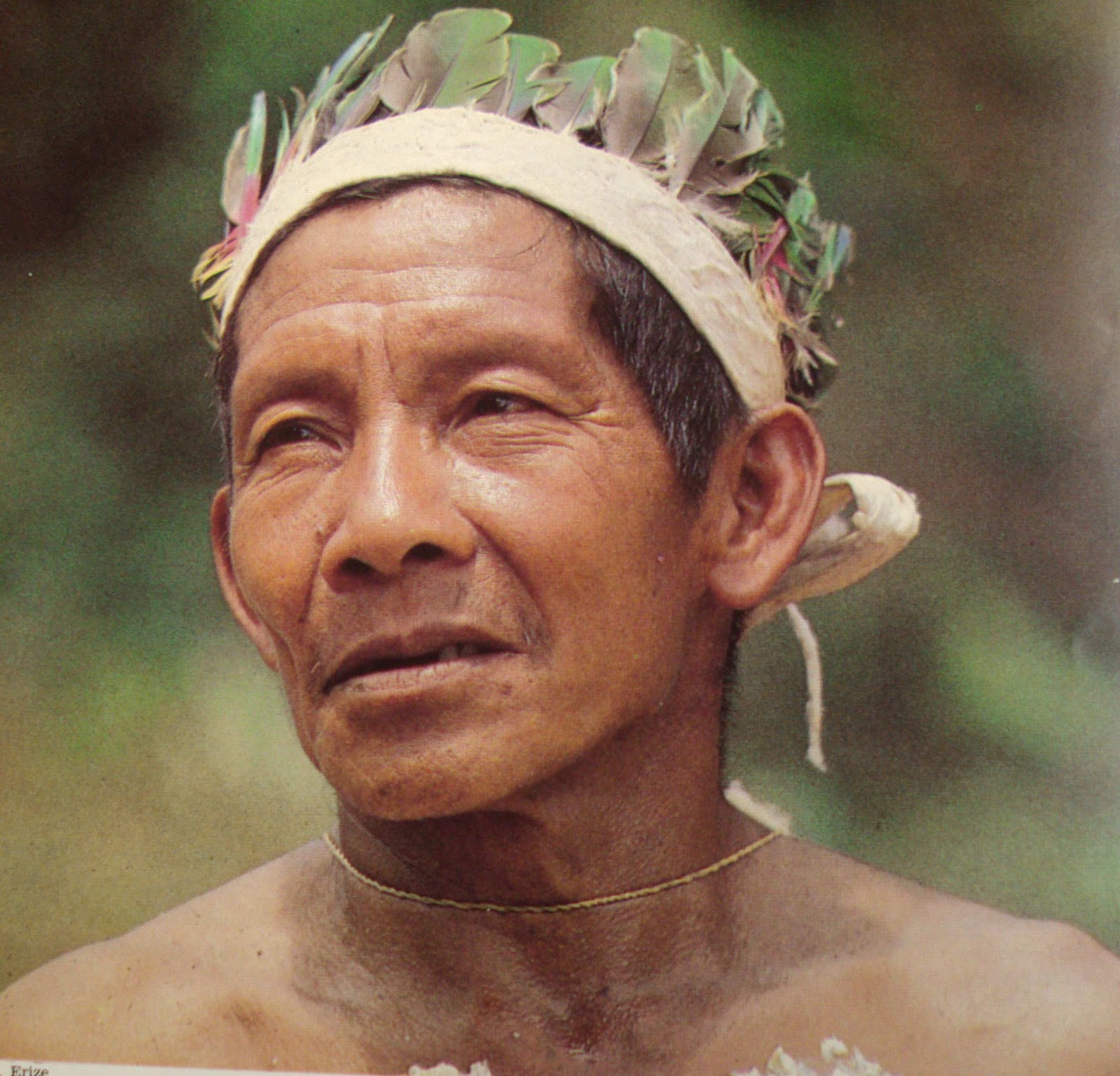 Tras la senda de los ancestros: El hombre en las selvas sudamericanas