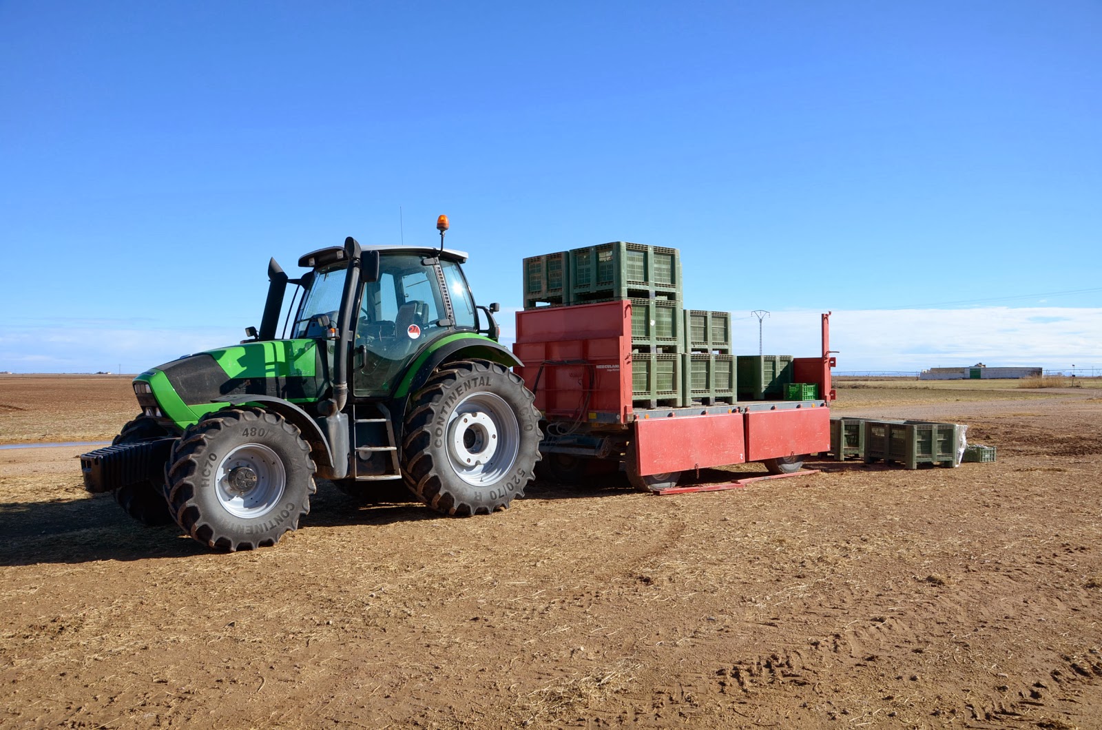 Garlic: Mechanical planter