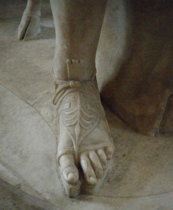 perfect for roquefort cheese: hallux