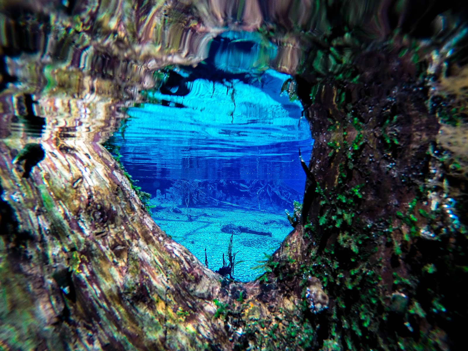 The sacred blue gems of Northwest Florida.: The Sacred Cypress Springs