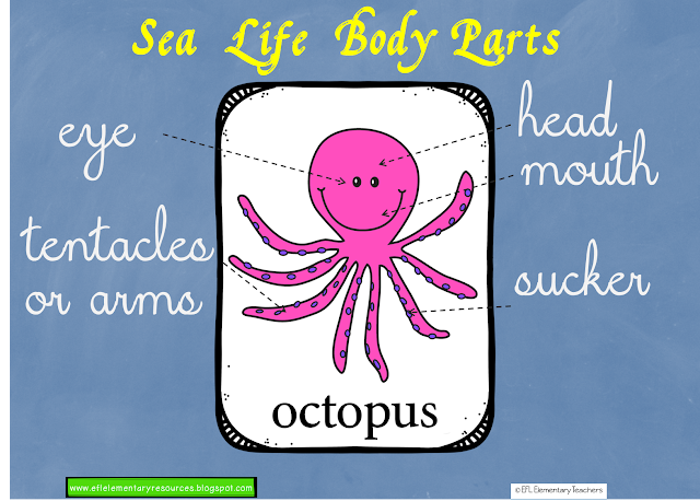 EFL Elementary Teachers: Sea, ocean or Underwater Animals Unit for ...
