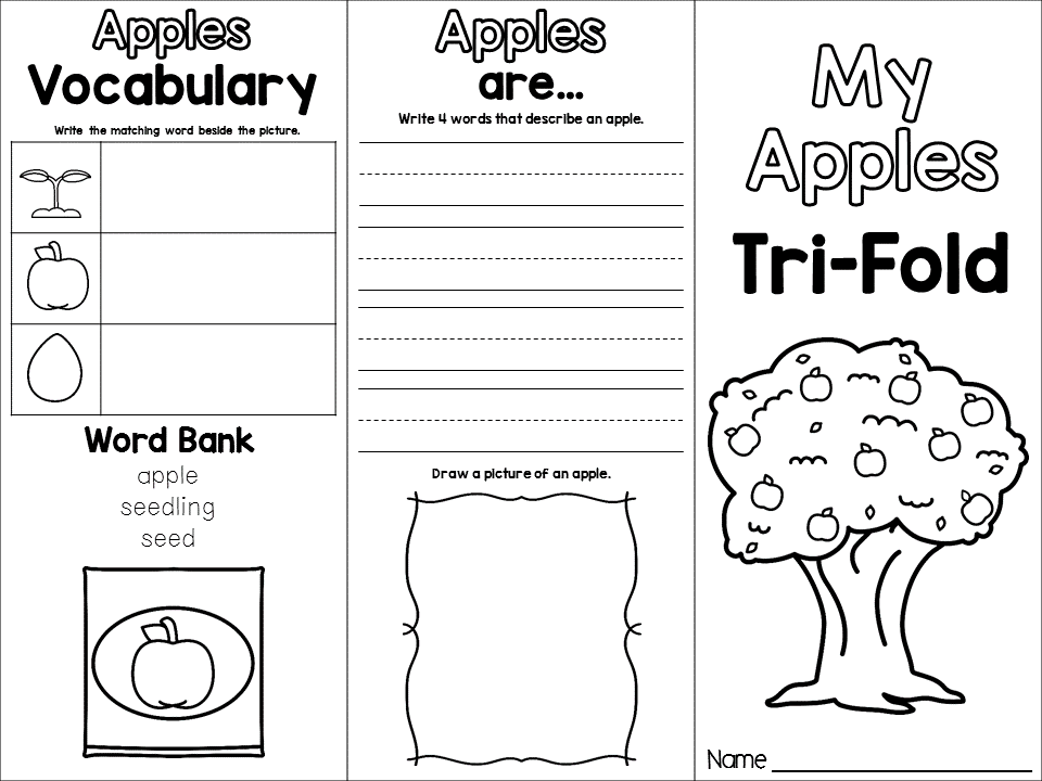 Apple Activities, Ideas, and Read Alouds | Flying into First Grade ...