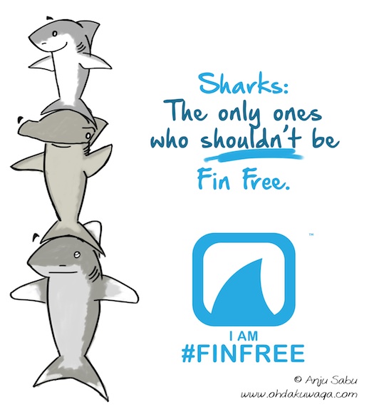 "Oh, Dakuwaqa!" - The Shark comics and cartoons: I am #FinFree