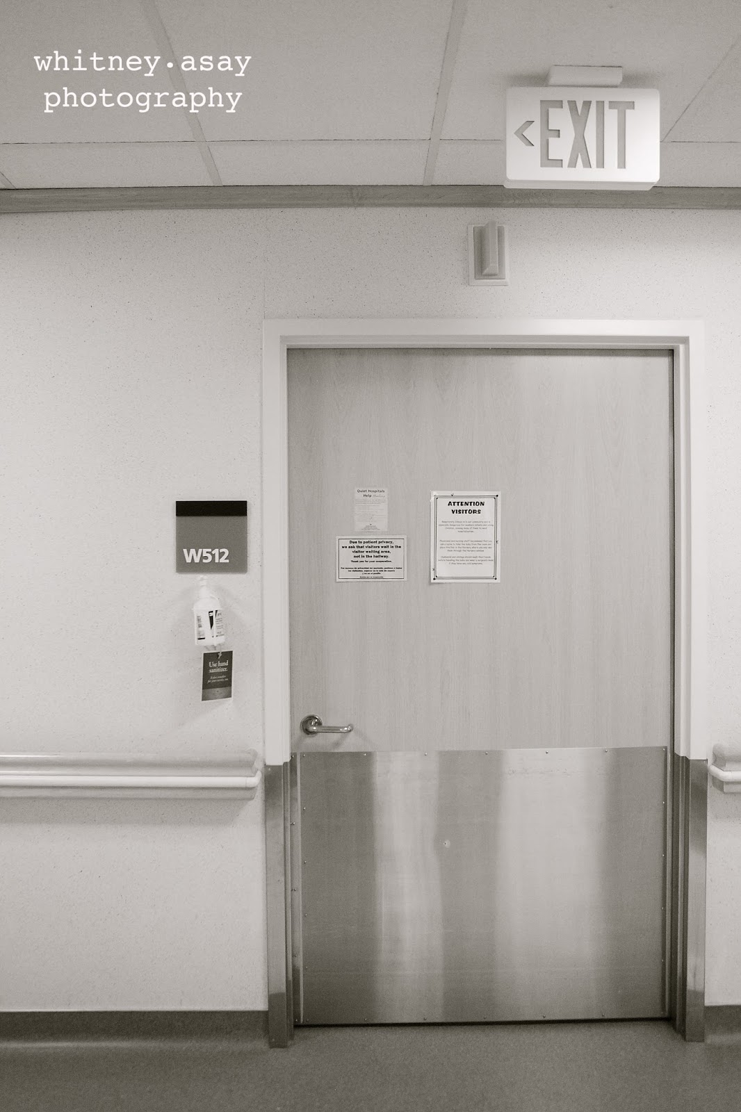 whitney asay photography