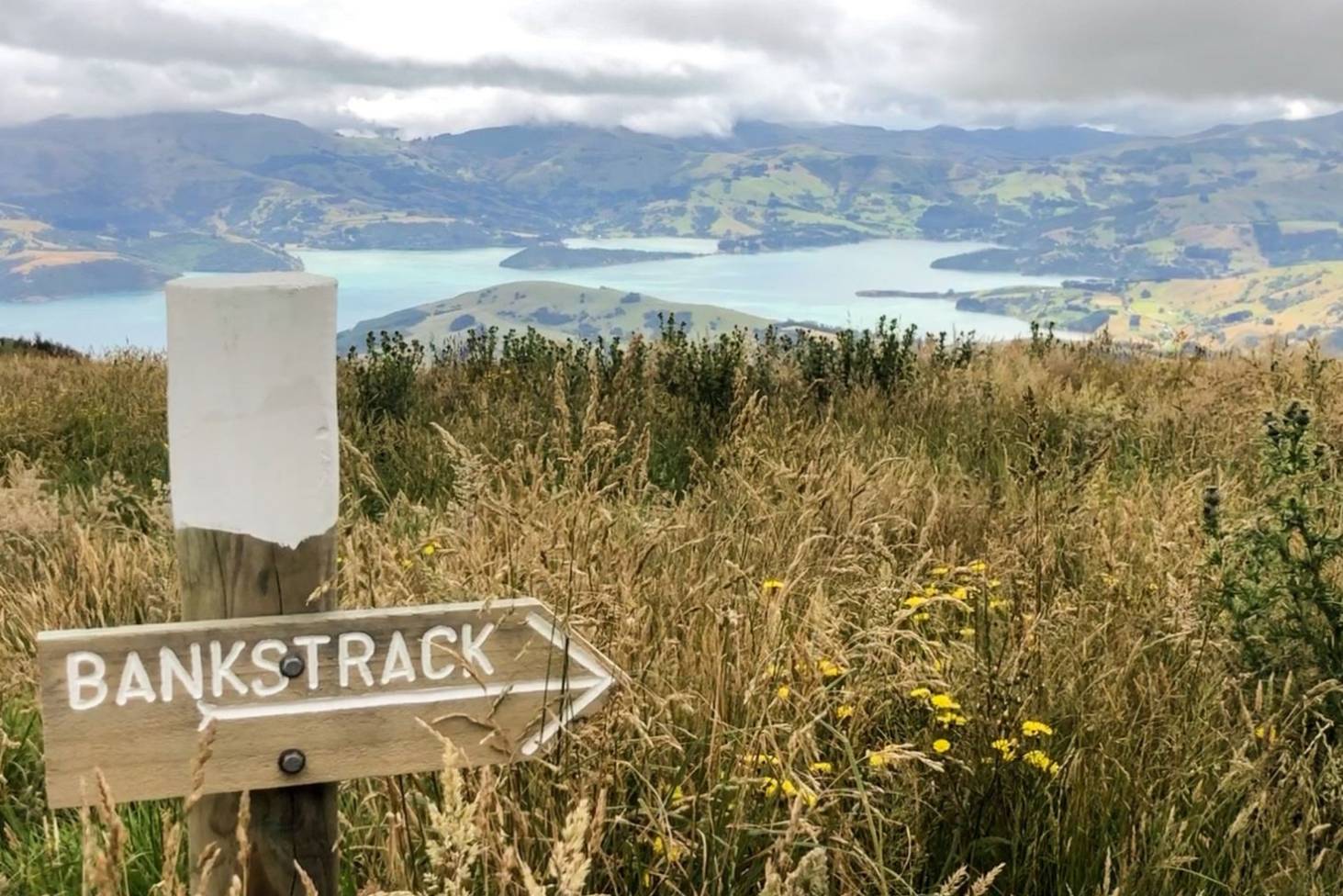 Tramping in the New Zealand backcountry: NZ Bush Adventures: Track ...