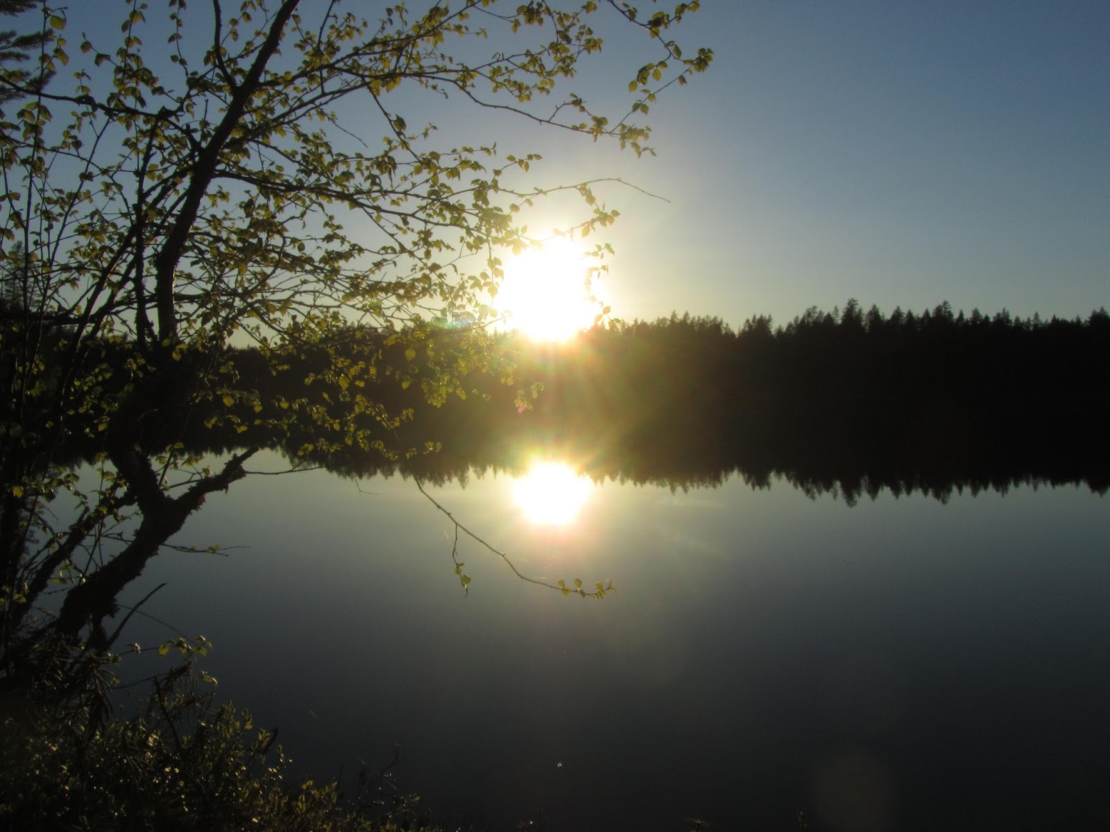 Tyynen surinat: Noshia ja Rokuan kansallispuistoa