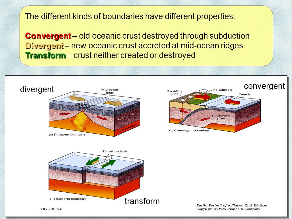 Mr. Villa's Science Stars!: Plate Tectonics REVIEW