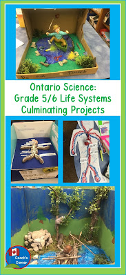 Coach's Corner: Ontario Grade 5/6 Science: Life Systems Culminating ...