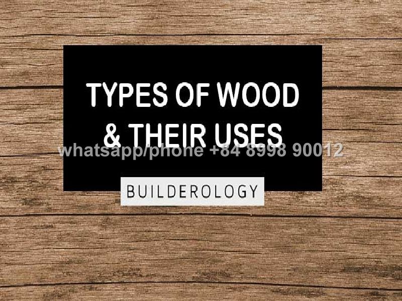 Different Types Of Wood And Their Uses