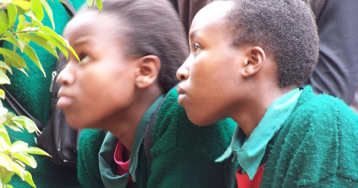 Volunteering and tourism: International Voluntourism Guidelines seek to ...