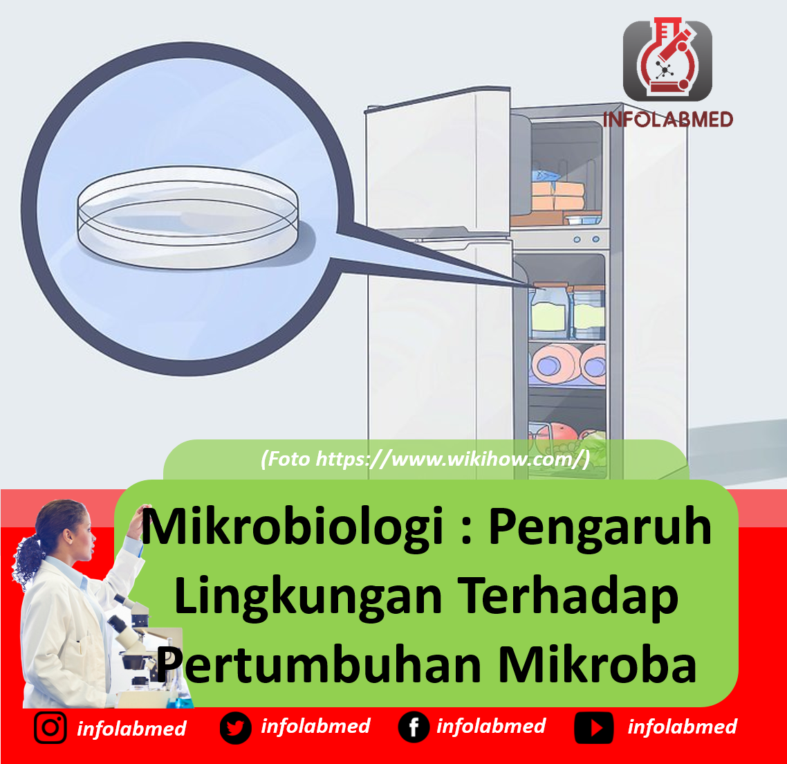 Mikrobiologi : Pengaruh Lingkungan Terhadap Pertumbuhan Mikroba