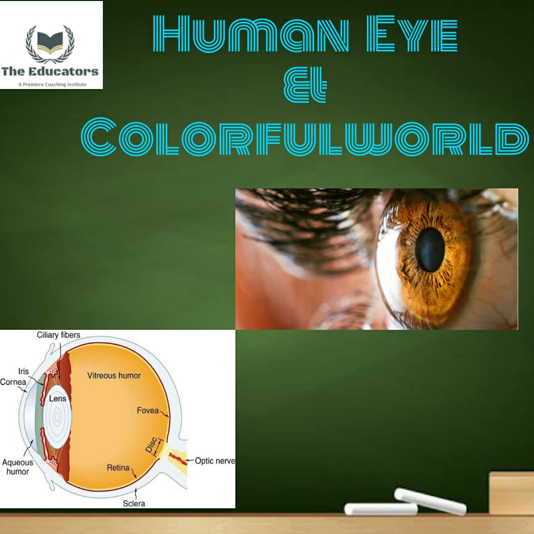 The Human Eye & The Colourful World- Part 1