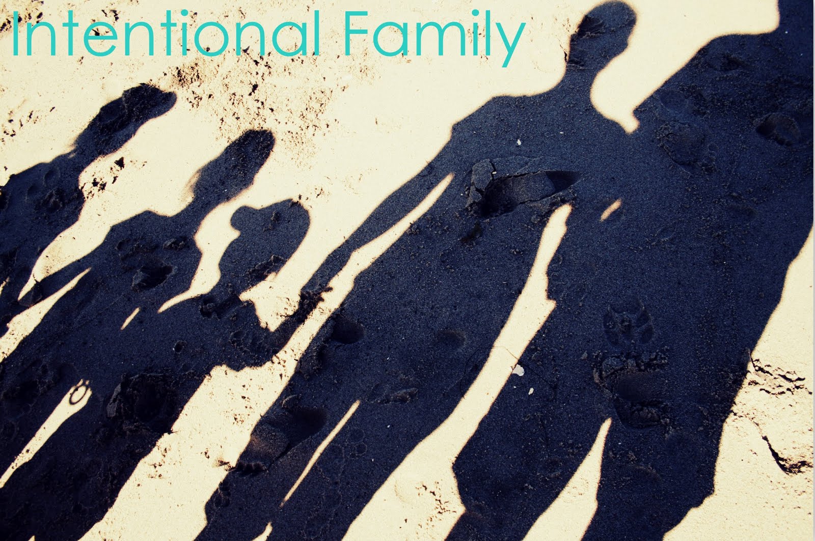 Not My Own: Intentional Family