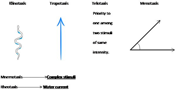 Animal introduction, evolution, behaviour and adaptation notes