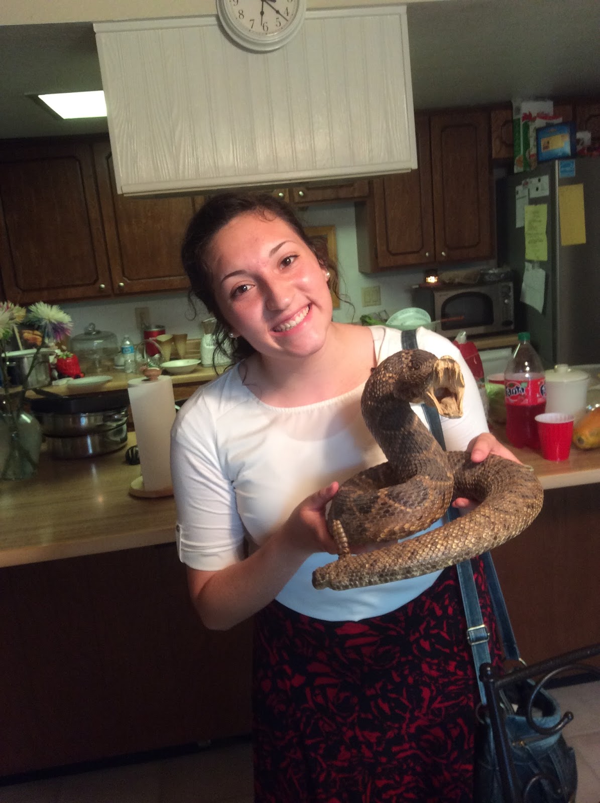 Hermana Brown -- Arizona Mesa Mission: WEEK 32: Valencia ward!