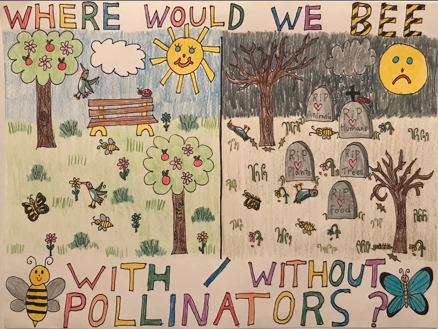 PA Environment Digest Blog: PA Conservation Districts Announce Student ...