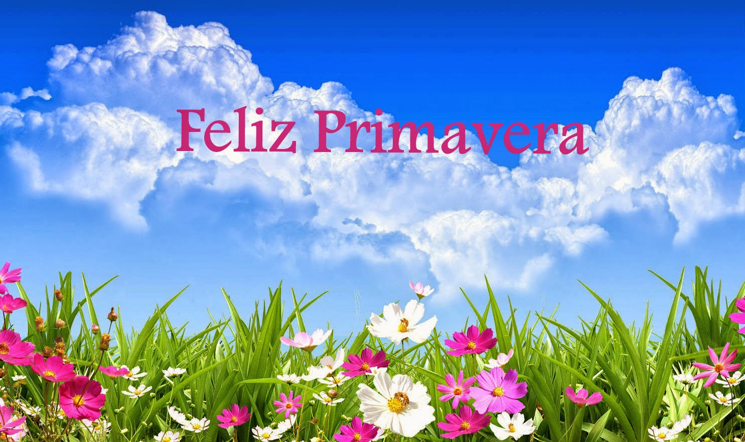 Feliz Primavera
