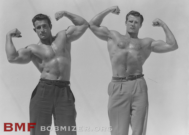 Athletic Model Guild Amg Logo