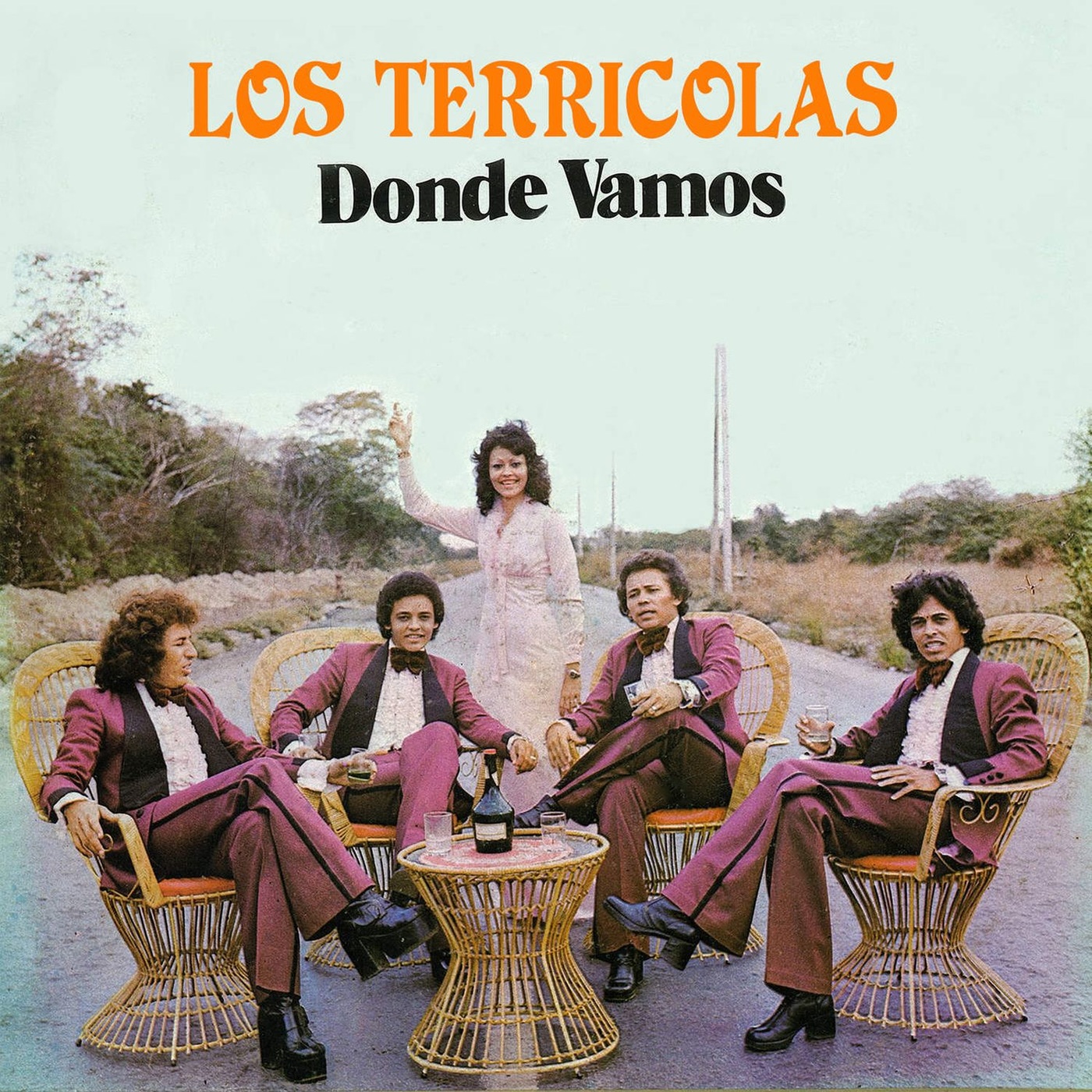 Mis discografias : Discografia Los Terricolas