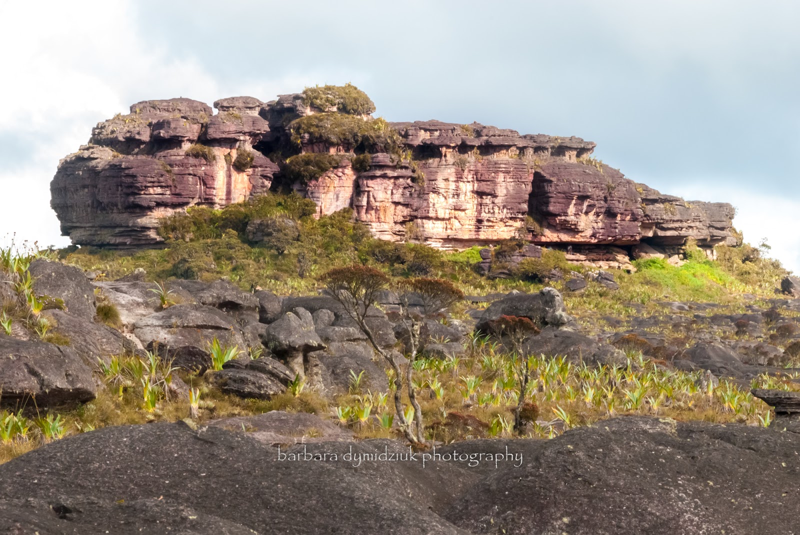 barbara dymidziuk photography: Wenezuela / Venezuela