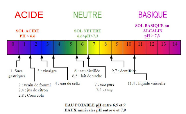 Le PH - FORMATION B.TP.H