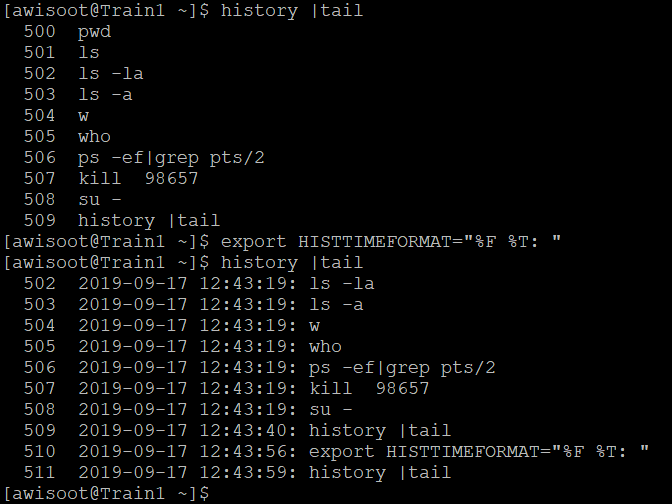 Set Date And Time Time Stamp For Each Command When You Execute